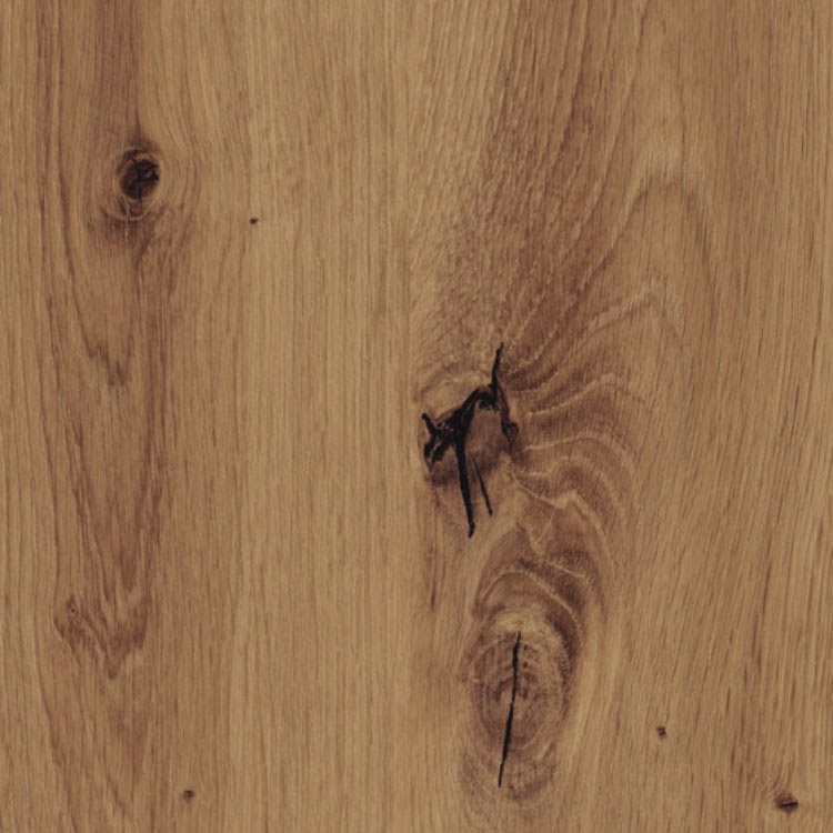 Design Trends for 2022 and Beyond