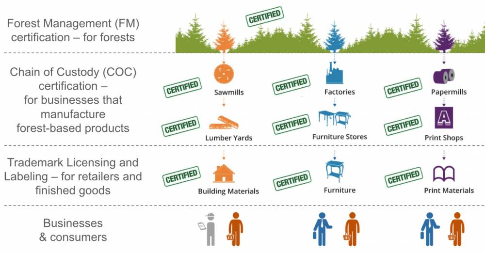 What Does “FSC Certified” Mean on Wood & Lumber Products?